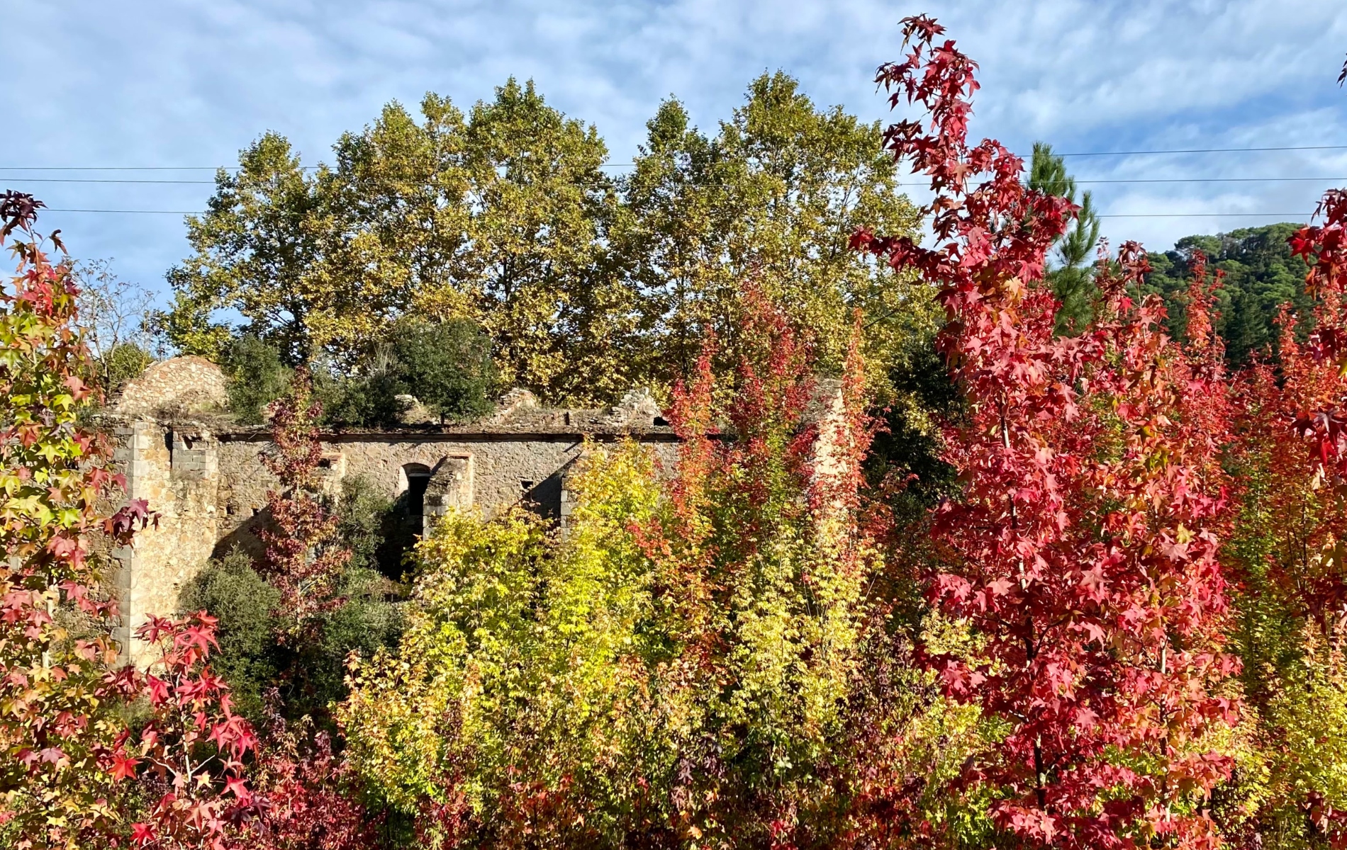 Estaciones: ¿Cuál es la mejor época para viajar a Italia? - itBogotá