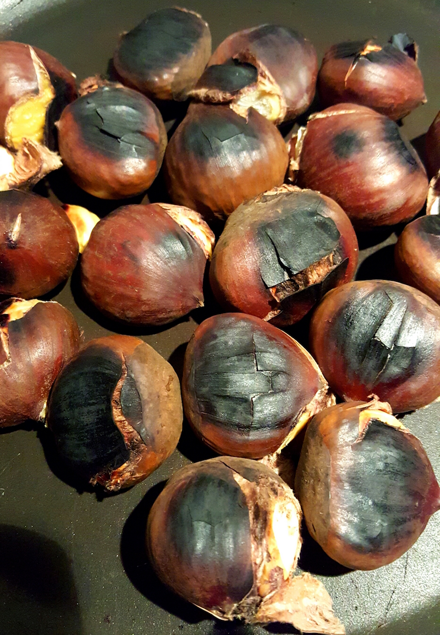 La Fiesta de la Castaña: un rito de otoño en Basílicata, Calabria y ...