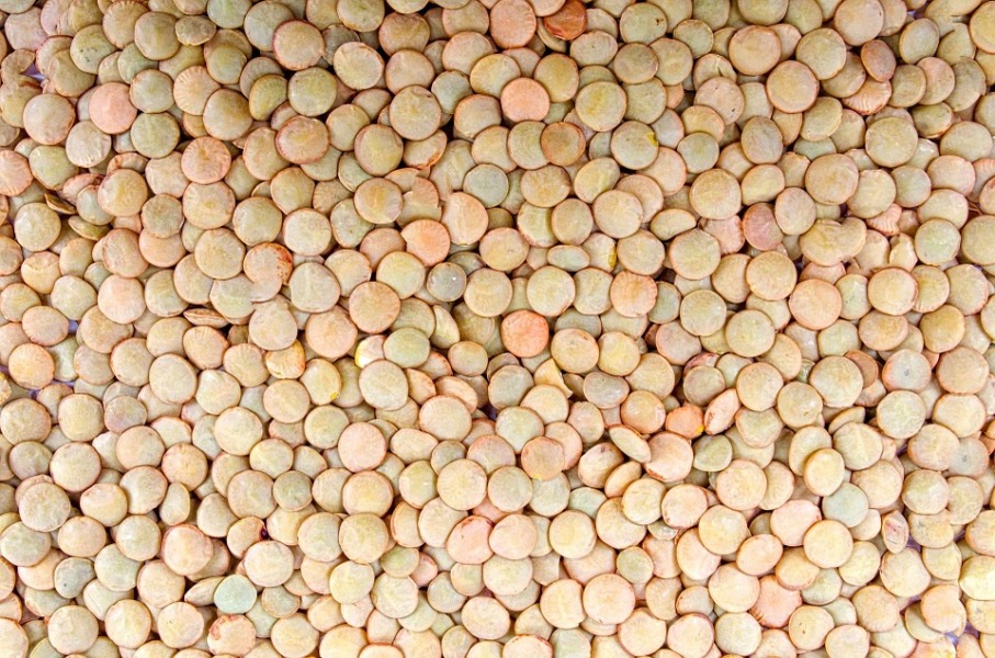 Lentils, a tasty legume that never goes out of style