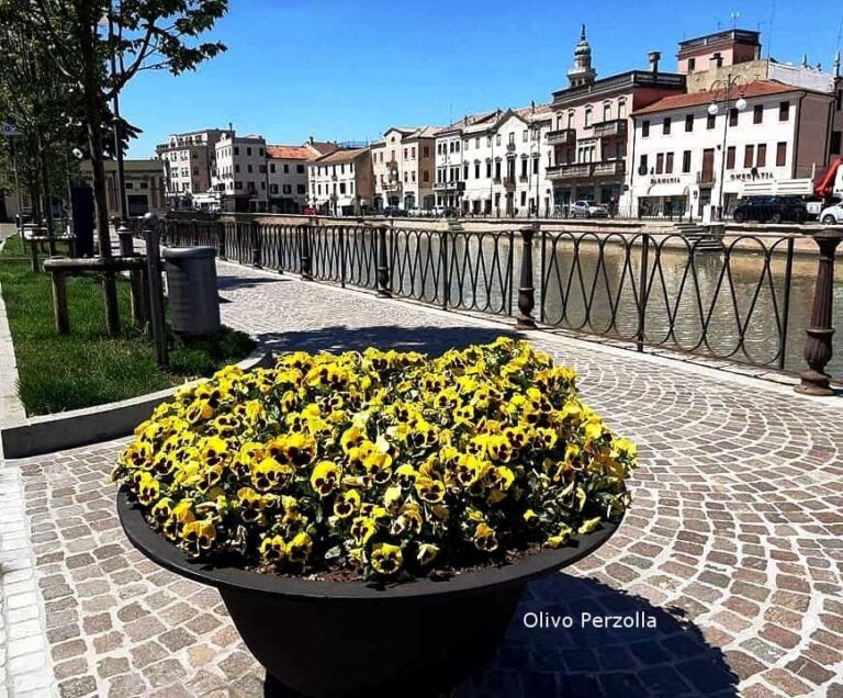 Adria plans its future thanks to GANA volunteers - italiani.it