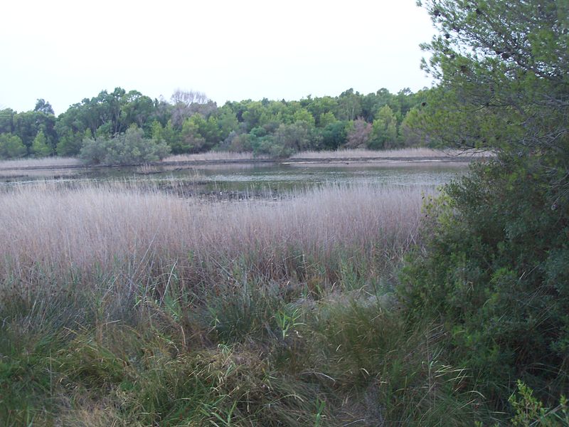 Il lago Salinella: oasi incontaminata nella Riserva naturale di ...