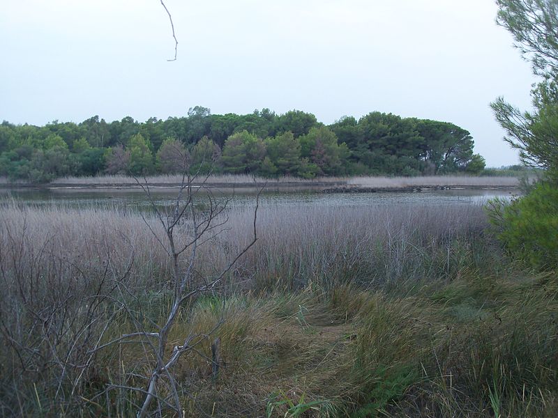 Il lago Salinella: oasi incontaminata nella Riserva naturale di ...