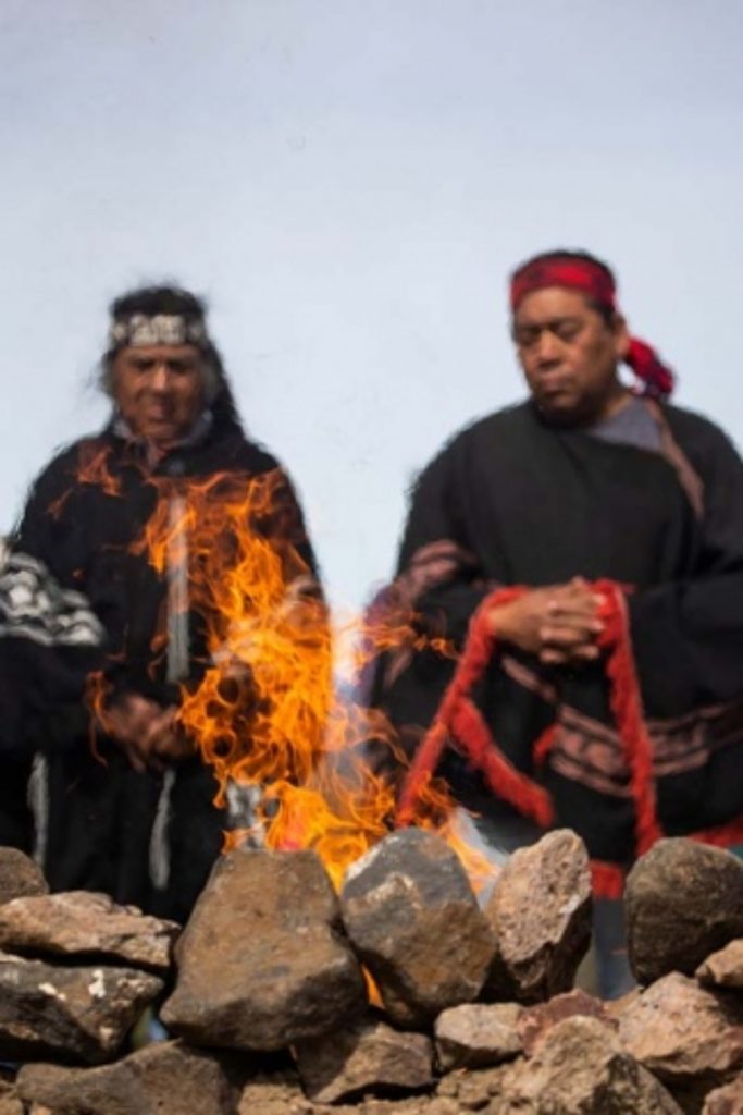 Rescatan siete crías de cóndor andino - itRíoNegro