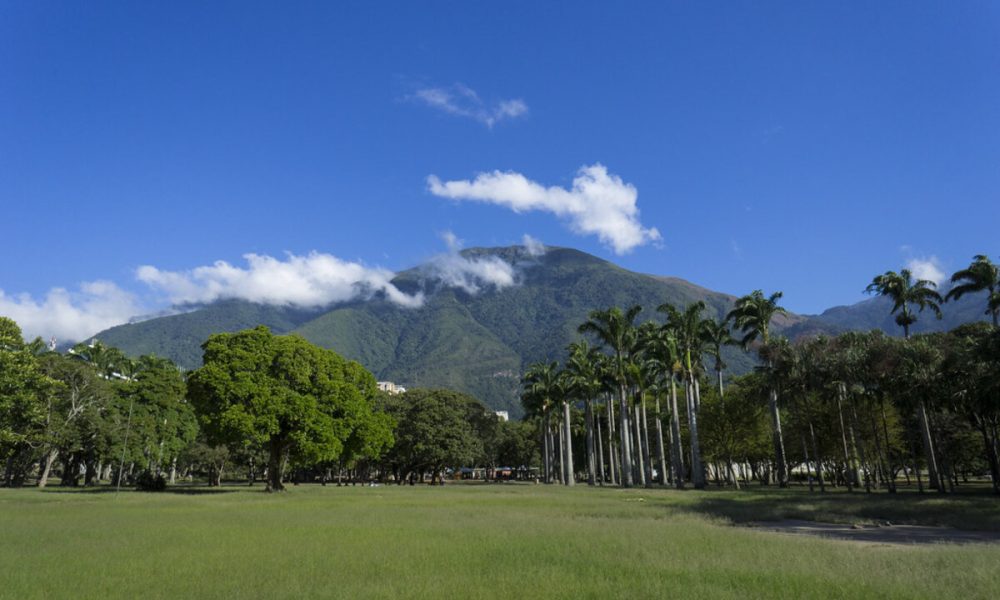 Parque del Este: un lugar que ver en Caracas - itVenezuela